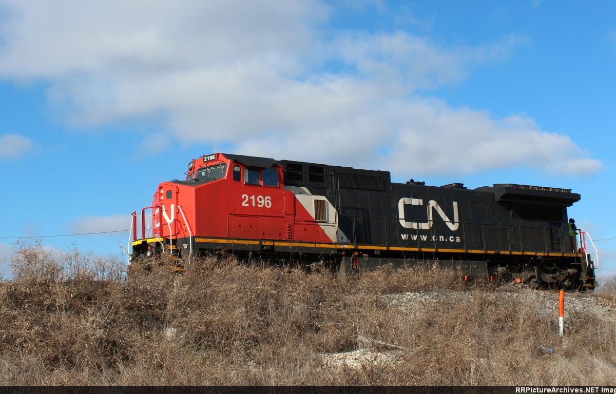 CN 2196